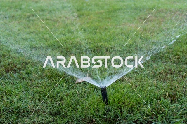 Automatic Garden Sprinkler Watering Green Lawn Yard - Photo
