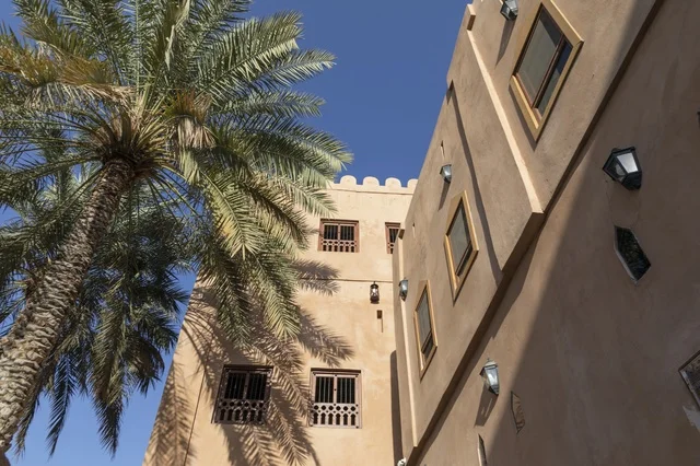 Traditional Mud Brick Arabic Buildings with Palm Tree - Photo