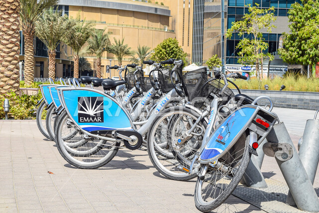Close-up of bicycles in Dubai, Marina Mall, Dubai, UAE, palm trees ...