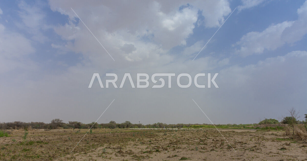 A picture of landscapes in the city of Taif in Saudi Arabia, desert ...