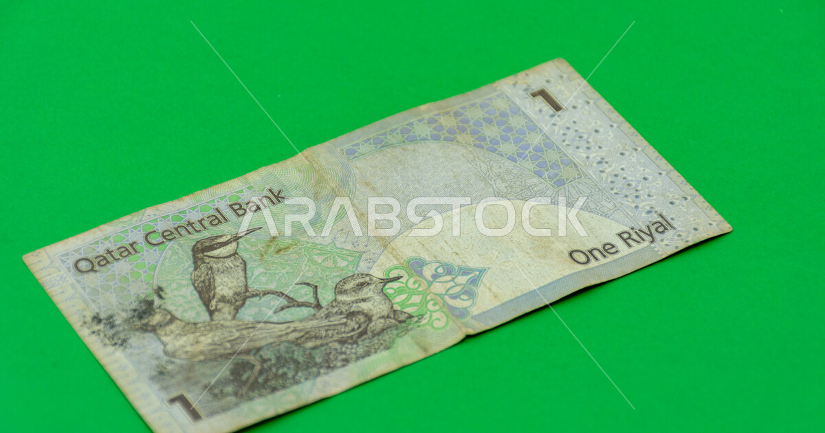 Back view of a 1 Qatari riyal banknote, a picture of three birds ...