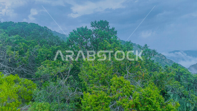 An aesthetic picture of the Tanumah Mountains in the Asir region in the ...