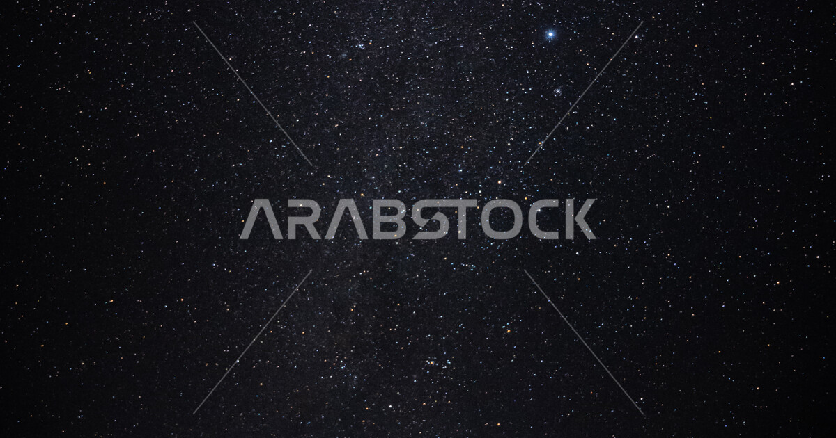 Creative image of stars in the sky in Saudi Arabia, trees and plants ...