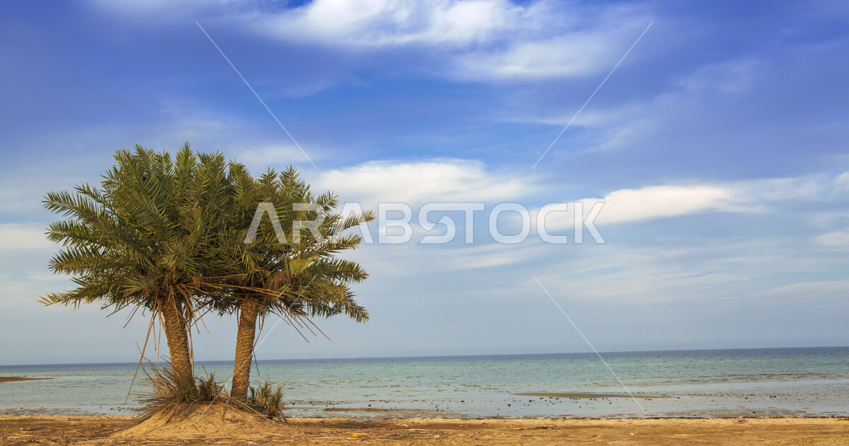 Aesthetic image of Umluj Beach in Tabuk, nicknamed the Maldives in ...