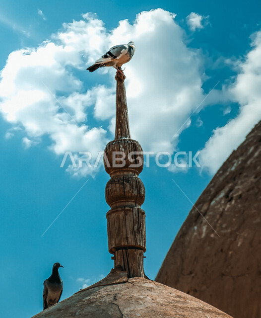 A picture of a bird standing on top of the dome of a mosque, Islamic ...