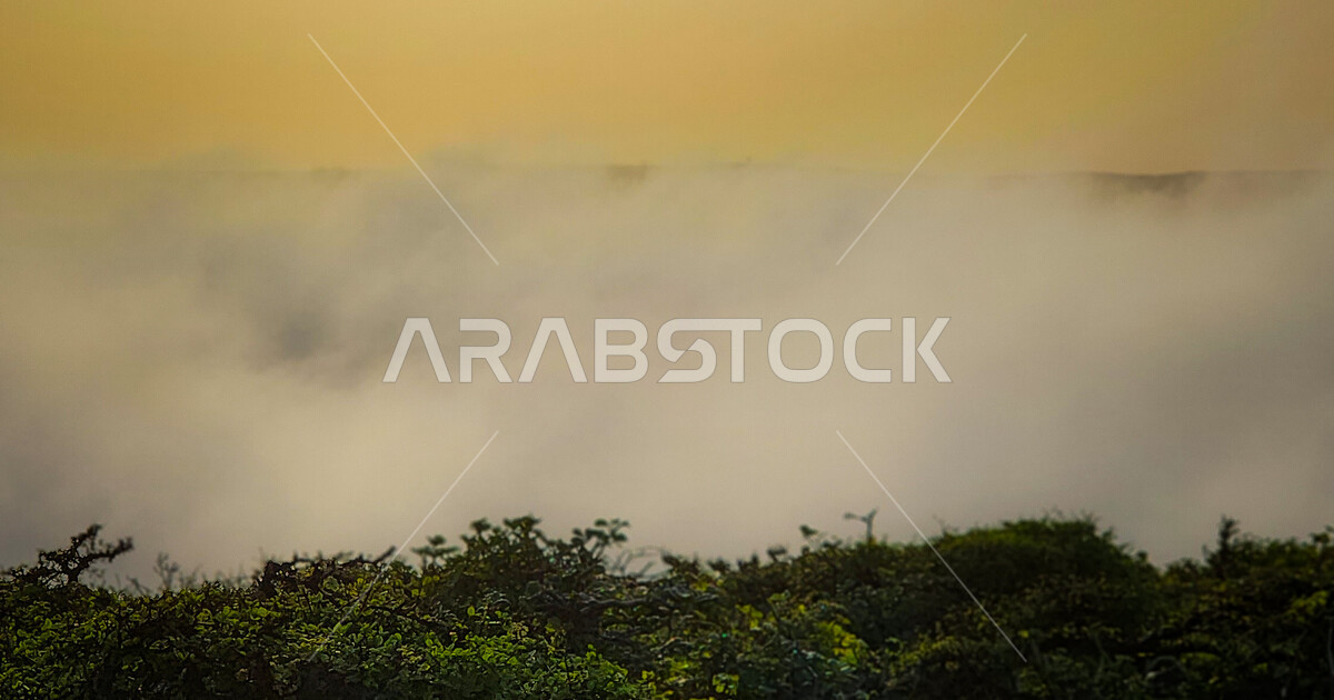 A breathtaking picture of the beauty of nature in the Governorate of ...