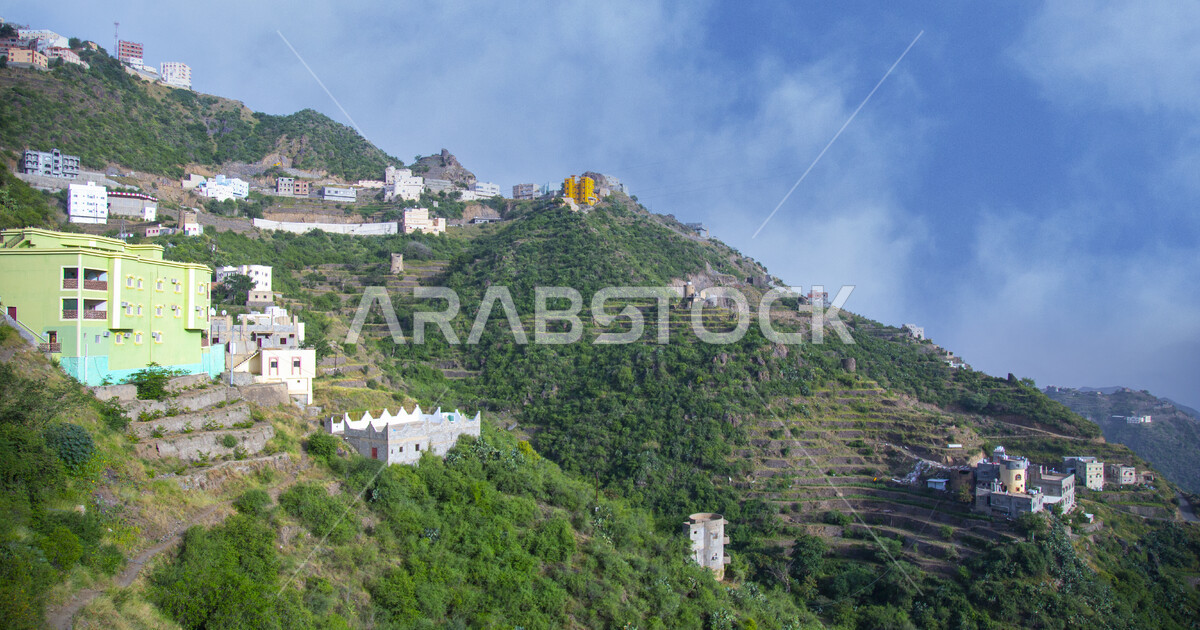 A close-up of nature in the Al-Faifa Mountains in Jazan, Saudi Arabia ...