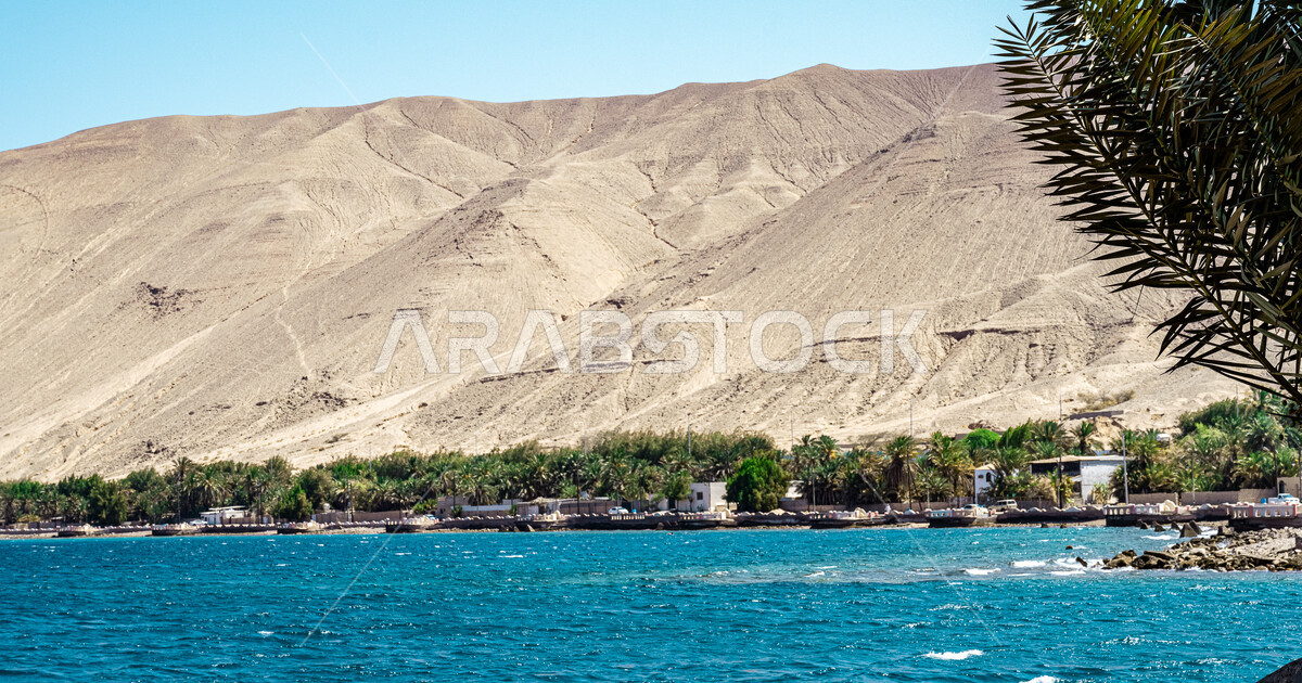 Aesthetic image of the Gulf of Aqaba in Tabuk, Saudi Arabia, nature ...