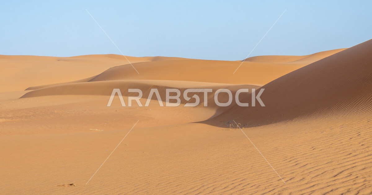 Sand dunes in desert areas, sand formations, golden sands in the desert ...