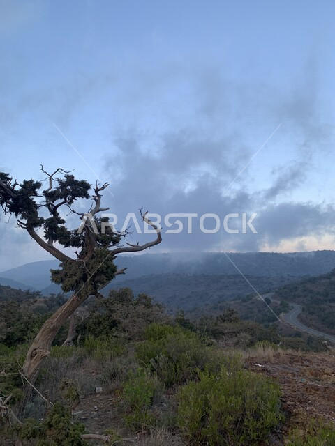 Al-Soudah Mountains in the Asir region, southwest of the Kingdom of ...