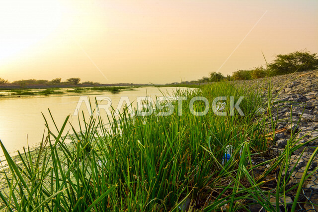 Jeddah lake in Saudi Arabia, nature in Saudi Arabia, lake Jeddah, green ...