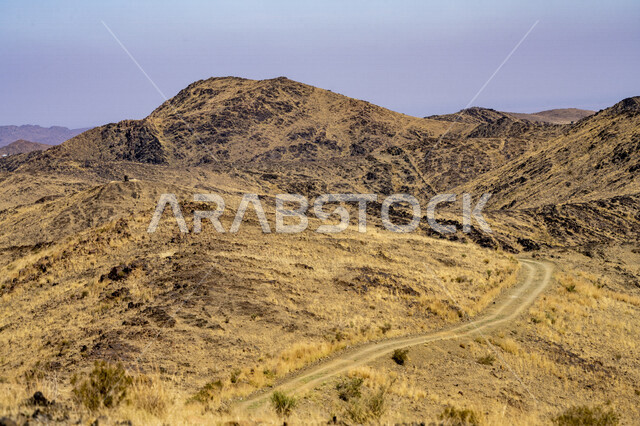 Desert areas of Saudi Arabia, Saudi deserts, desert nature background ...