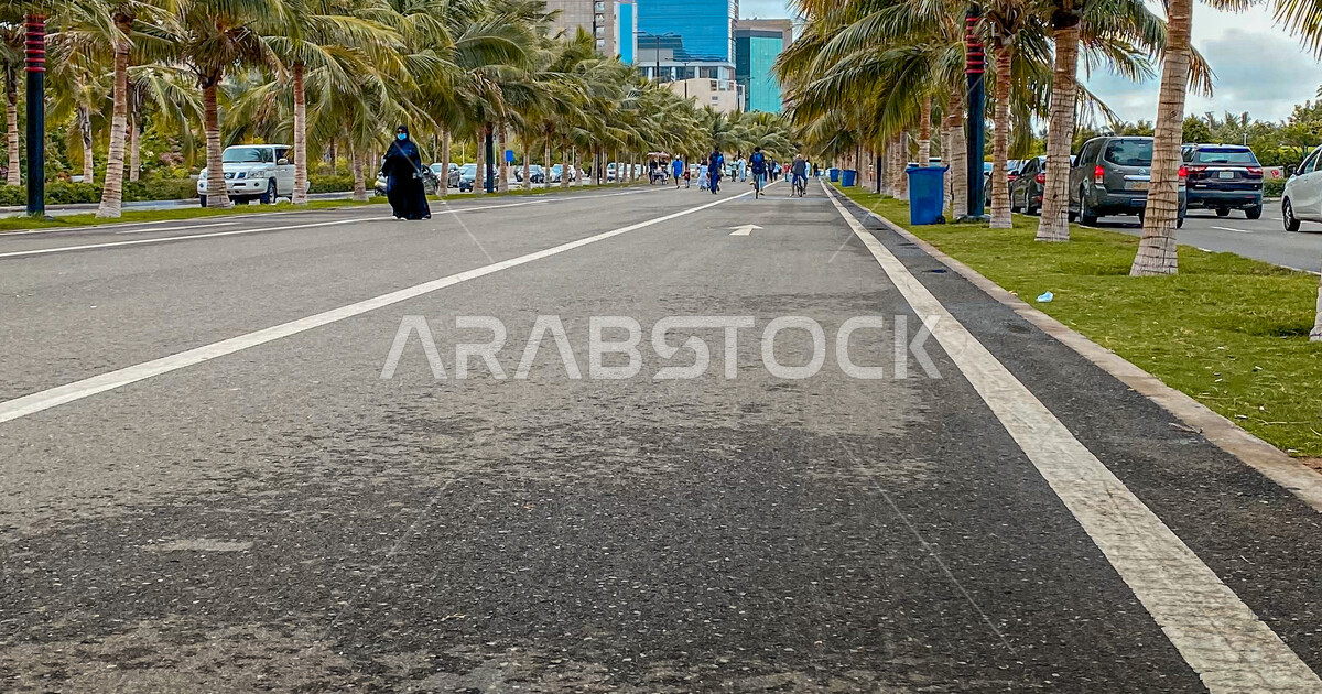Close-up image of Jeddah Corniche Road, gardens and parks in Jeddah ...