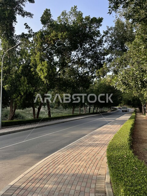 Asphalt road in the Sultanate of Oman, roads and streets of Oman, Al ...