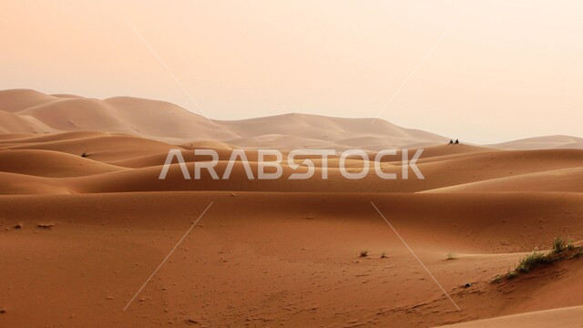 Sand dunes in the desert, soft golden sand in the desert, deserts of ...