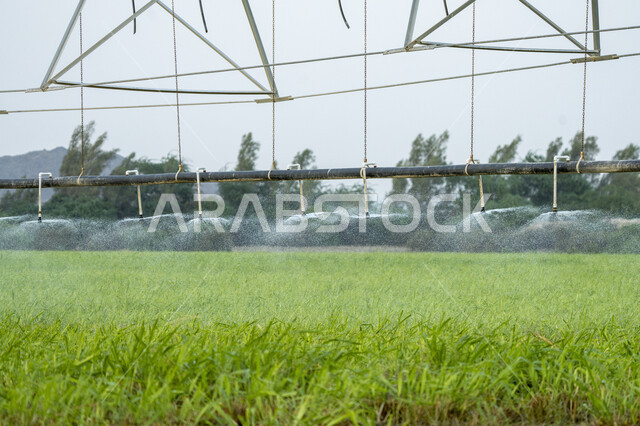 Irrigation machines and equipment in an agricultural field in the ...