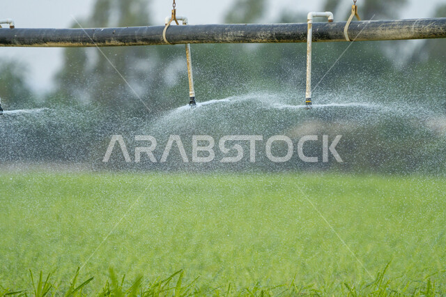 Irrigation machines and equipment in an agricultural field in the ...