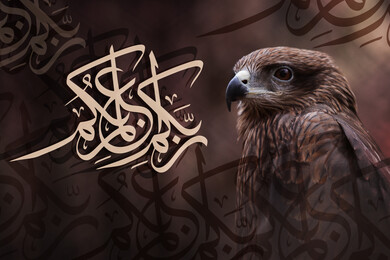 Vector blank background, design template, ready-made template for ...