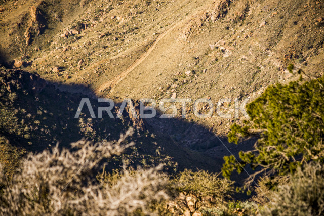 The Arabian desert and the scenic landscapes of the Kingdom of Saudi ...