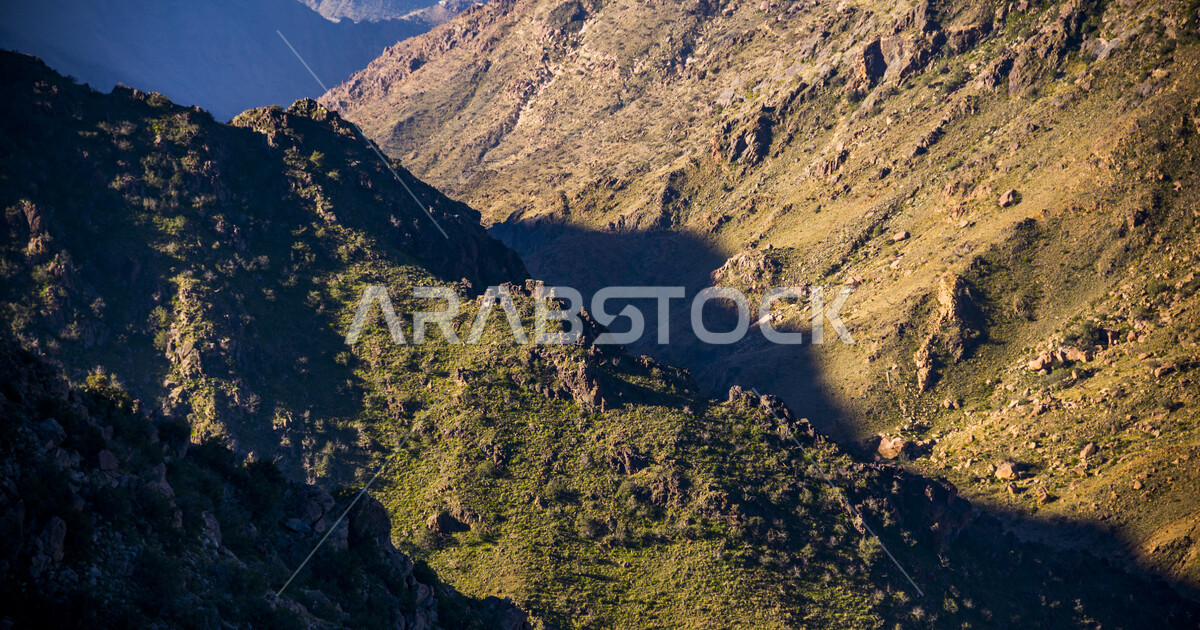 The Arabian desert and the scenic landscapes of the Kingdom of Saudi ...