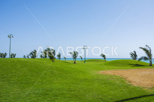 Recreational parks and picnics in the Kingdom of Saudi Arabia, trees ...