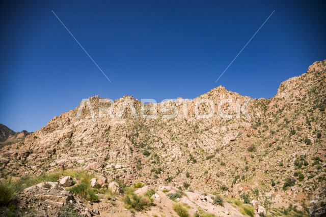 The Arabian desert and the scenic landscapes of the Kingdom of Saudi ...