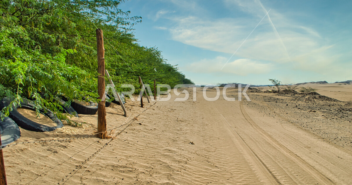 The scenic nature of Jeddah's green valley, nature in Saudi Arabia ...
