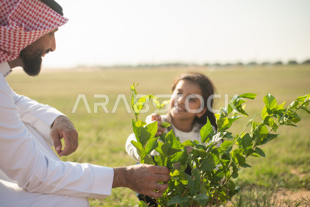 A Saudi Arabian Gulf man with his daughter in an agricultural field ...