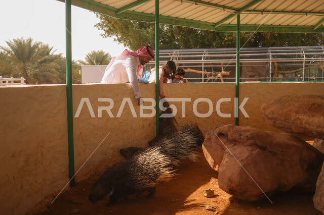 A Saudi Arab Gulf family spends fun times in the zoo in the Kingdom of ...