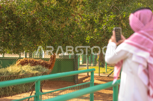 A Saudi Arabian Gulf man spending fun times in the zoo in the Kingdom ...