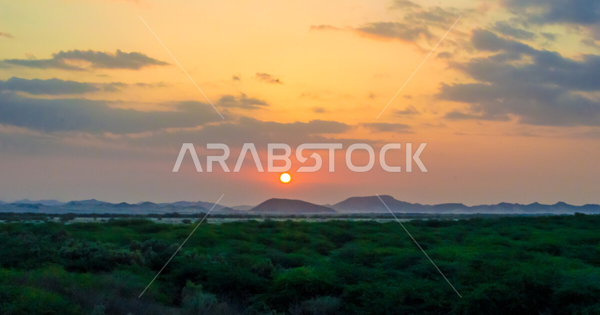 The picturesque nature of Jeddah in Saudi Arabia, an ancient path for ...