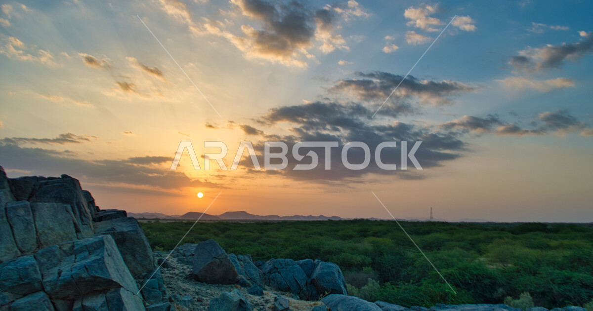 The picturesque nature of Jeddah in Saudi Arabia, an ancient path for ...