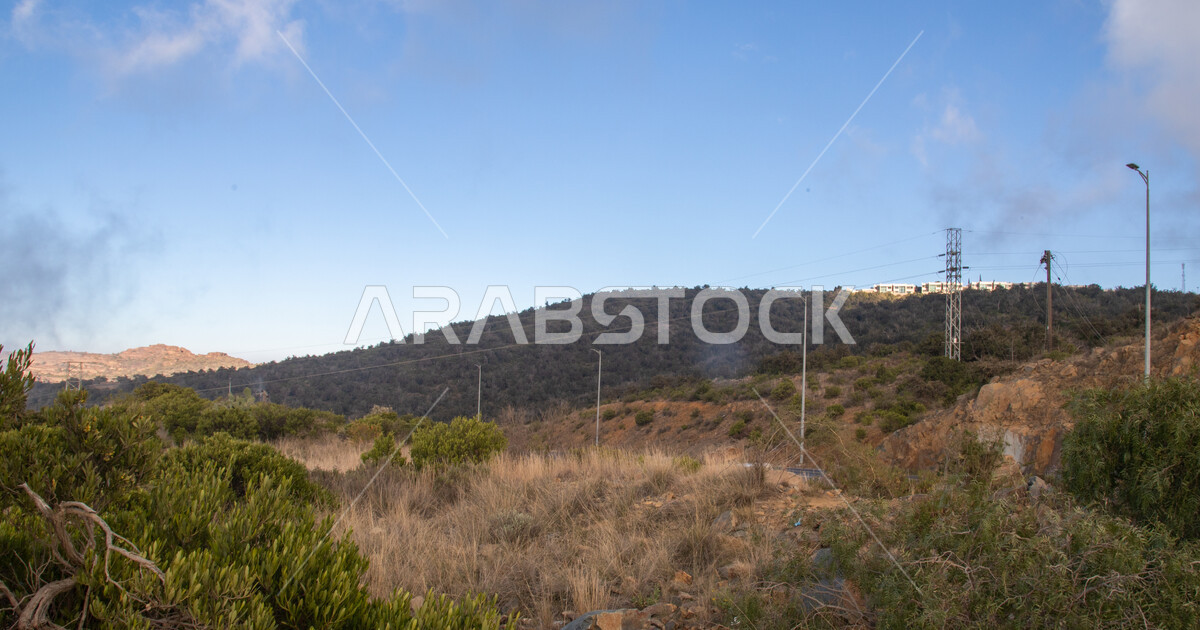 Trees and green plants in the Al-Soudah Mountains in Asir in the ...