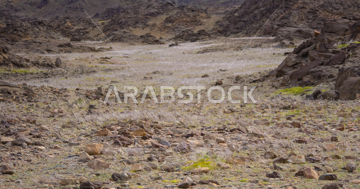 المناطق الصحراوية في المملكه العربيه السعوديه، المناطق الجبليه, تضاريس ...