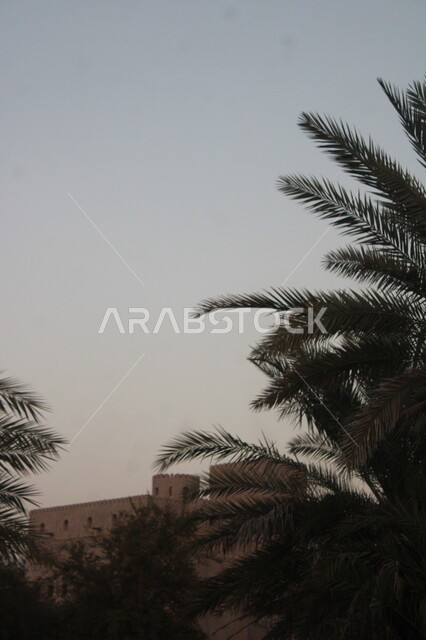 A close-up of green palm trees, castles and forts, a historic fort ...