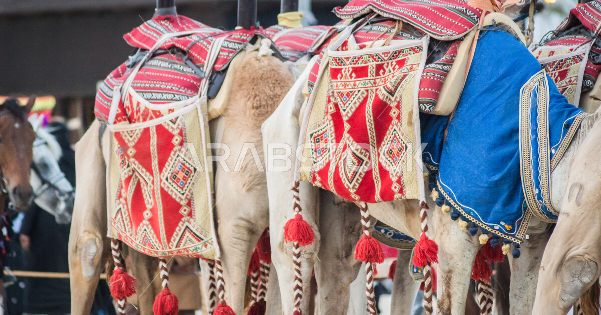 The annual Arab Festival Okaz Market in the city of Taif, an old ...