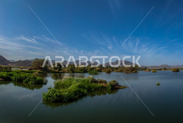 The desert and nature of the Medina, stunning landscapes in Saudi ...
