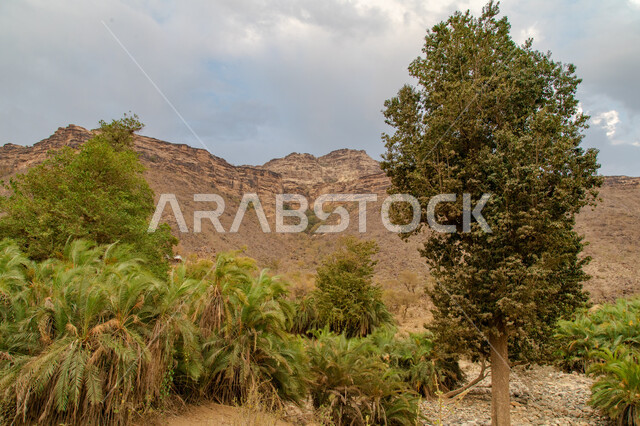 Asir mountains in the center of Kohla, the highest city in Saudi Arabia ...
