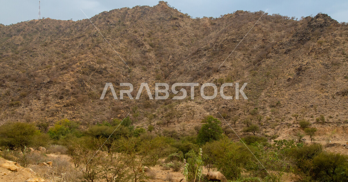 Asir mountains in the center of Kohla, the highest city in Saudi Arabia ...