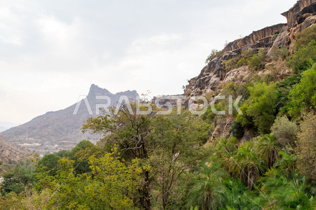 Asir mountains in the center of Kohla, the highest city in Saudi Arabia ...