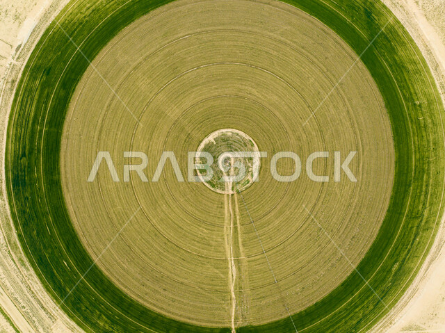 An aerial photograph of circular agricultural fields, an agricultural ...