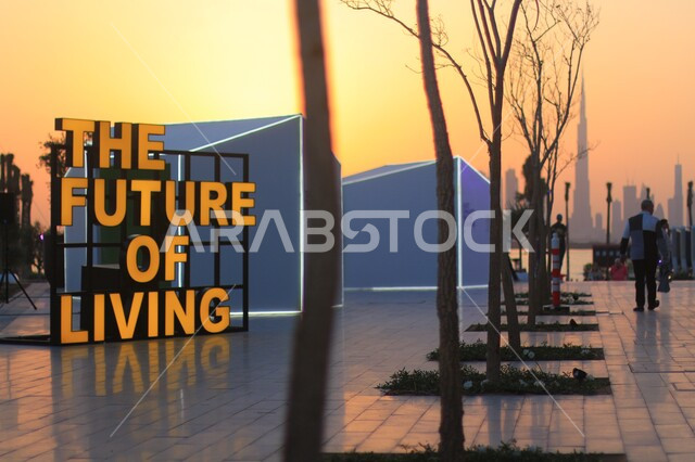 Close-up of tree trunks, English text, future life, towers and ...
