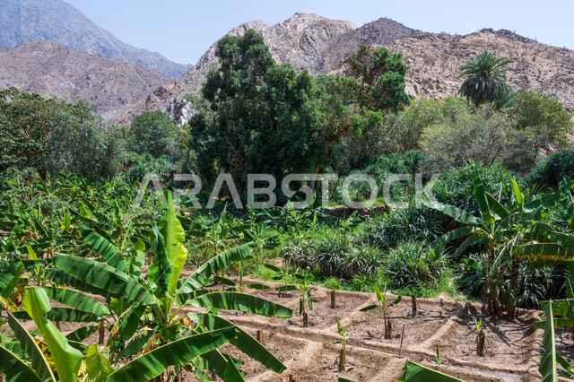 Mountain highlands in Al-Baha region, Saudi Arabia, Al-Baha mountains ...
