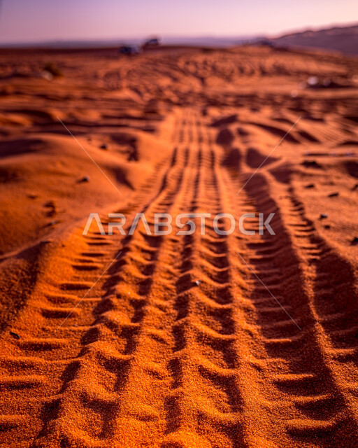A picture of sand dunes in the desert, soft golden sand in the desert ...