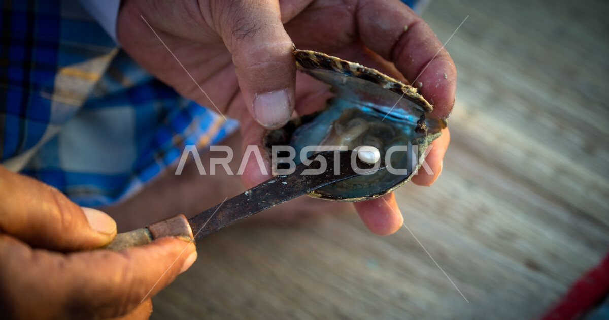 A close-up of a man's hand extracting pearls from a shell, natural ...