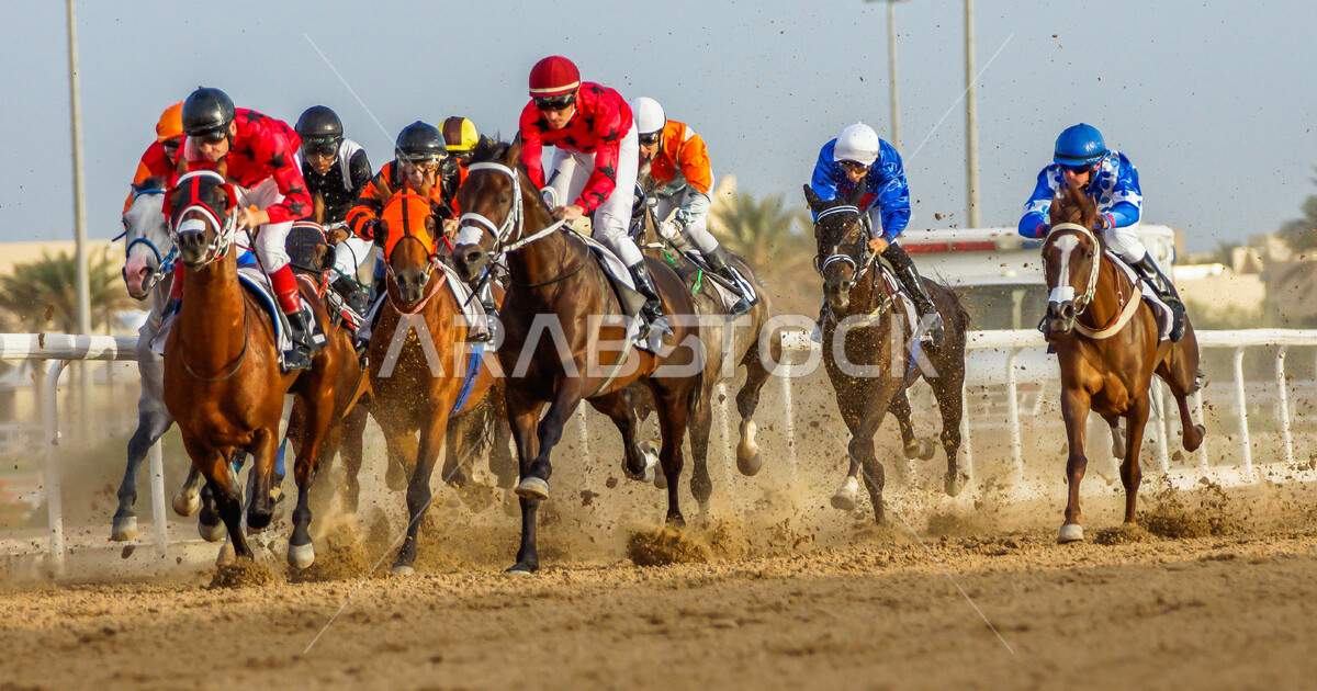 فرسان عرب خليجيون يمتطون الخيل، سباق الخيل، نادي الفروسية، نادي سباقات ...