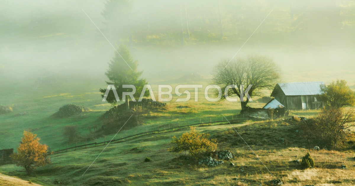 Illustrations of nature in the simple countryside, paintings and arts ...
