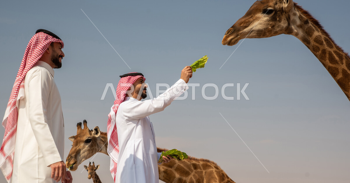 Recreational activities with animals in the nature reserve, two Saudi ...