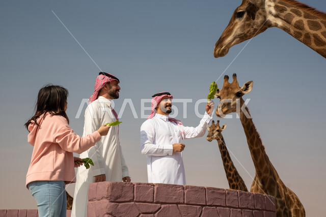 Feeding wild animals, a Saudi Gulf Arab family spending fun times in ...
