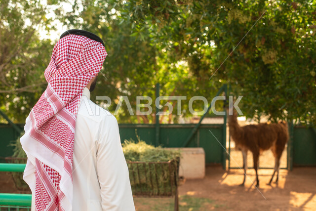 Entertainment tourist places in Saudi Arabia, a picture from the back ...